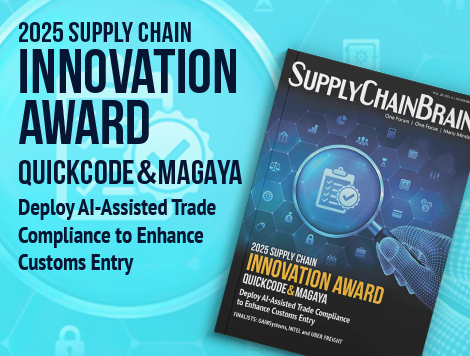 Supply Chain Innovation 2025: On the Rocky Road to Resilience ...
